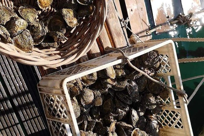 Ston Gastro Tour - Final Thoughts