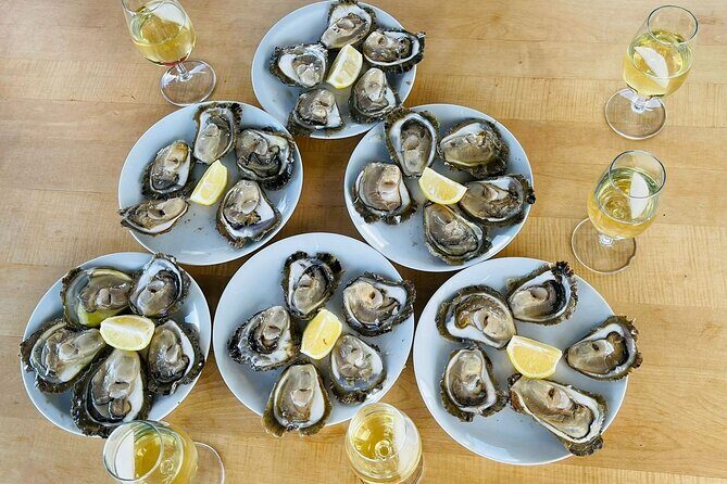 Ston Seafood & Peljea Wine Boat Tour with Oysters and Mussels - What to Expect from the Ston Seafood & Peljea Wine Boat Tour