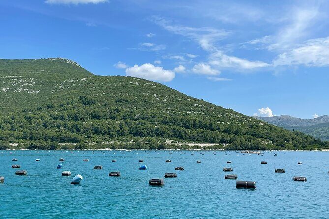 Ston Seafood & Peljea Wine Boat Tour with Oysters and Mussels - What People Are Saying