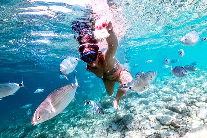 Stop on Island & National Park Day Cruise with Lunch Drinks - Who Will Love This Tour?