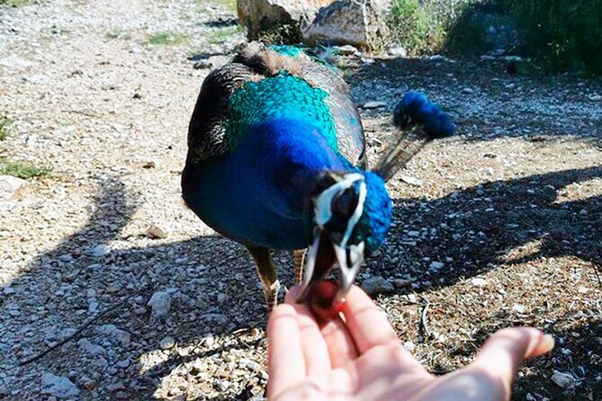 Stop on Island & National Park Day Cruise with Lunch Drinks - Final Thoughts