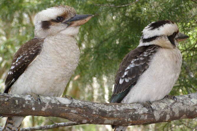 Stradbroke Island 4WD Day Trip from Brisbane - The Sum Up