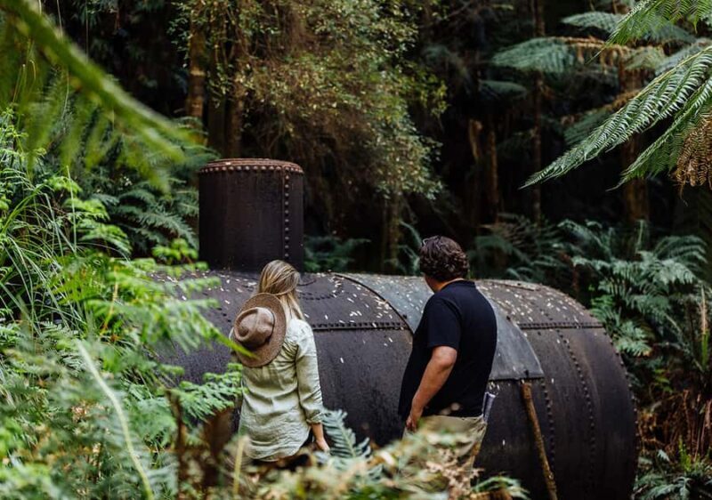 Strahan: The Pillinger Explorer Exclusive Cruise - Possible Drawbacks and Considerations