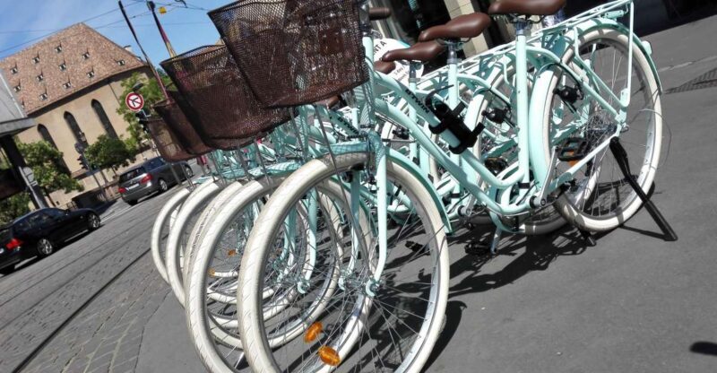 Strasbourg: 1-Day Bike Rental - Who Would Love This Experience?
