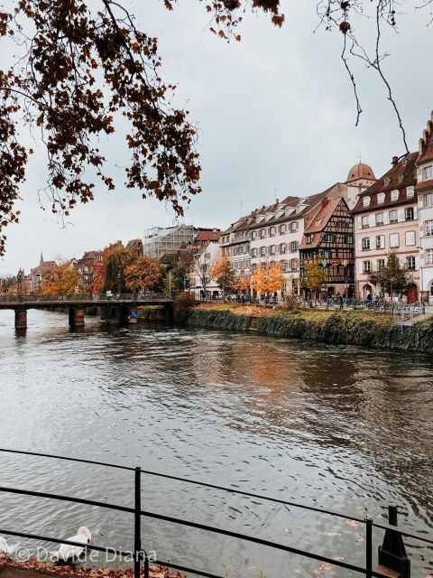 Strasbourg: Gastronomic and Walking Tour in the Old Town - Who Will Love This Tour?