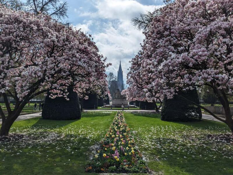 Strasbourg : guided walking tour through the wars 1871-1945 - A Deep Dive into Strasbourg’s Wartime Past  
