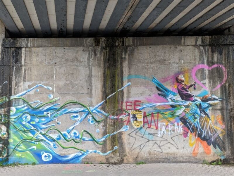 Strasbourg : Street-Art Tour - An In-Depth Look at the Strasbourg Street-Art Tour