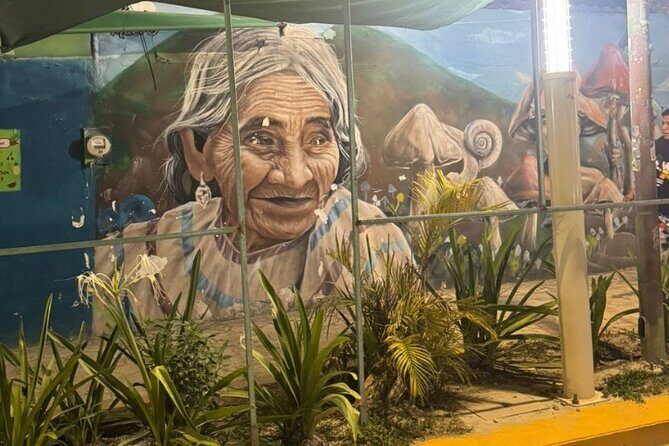 Street Art and Shopping Tour in Playa del Carmen - A Closer Look at the Itinerary