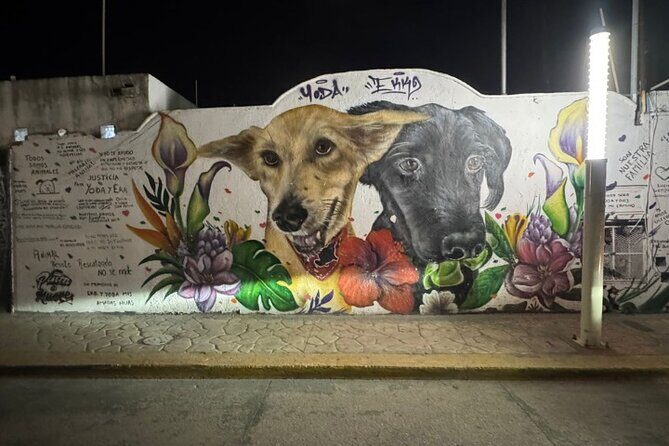 Street Art and Shopping Tour in Playa del Carmen - The Sum Up