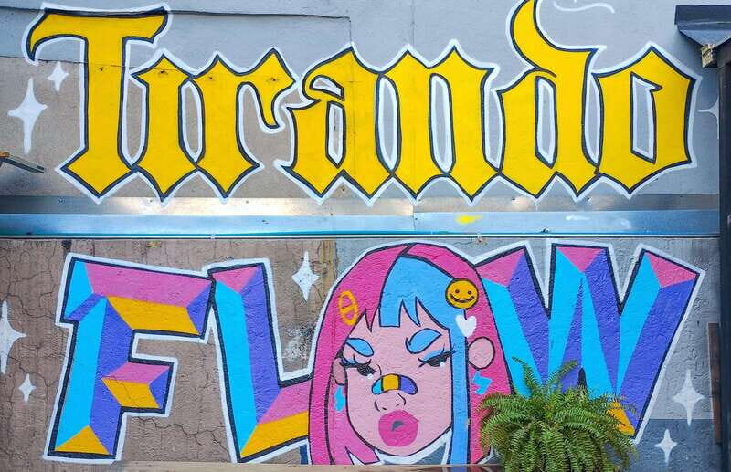 Street Art Tour: Downtown Mexico City - Authenticity and Local Flavor