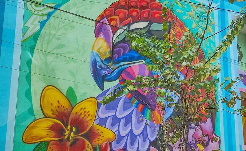 Street Art Tour: Downtown Mexico City - The Sum Up