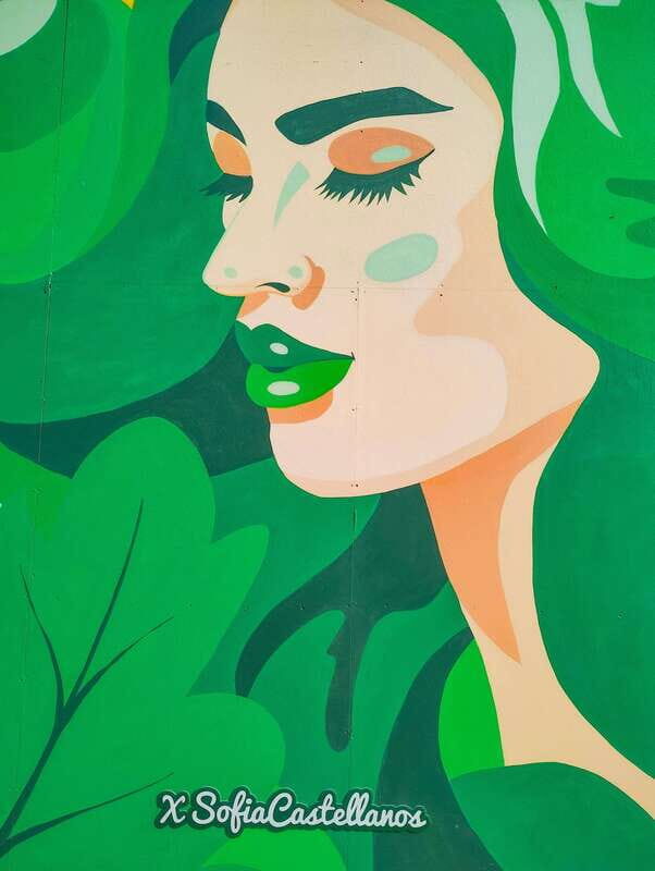 Street Art Tour: the Hidden Face of Mexico City - Art Meets Commerce and Pride