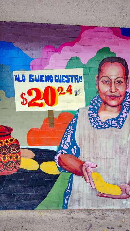 Street Art Tour: the Hidden Face of Mexico City - Ephemeral Art & Flexibility