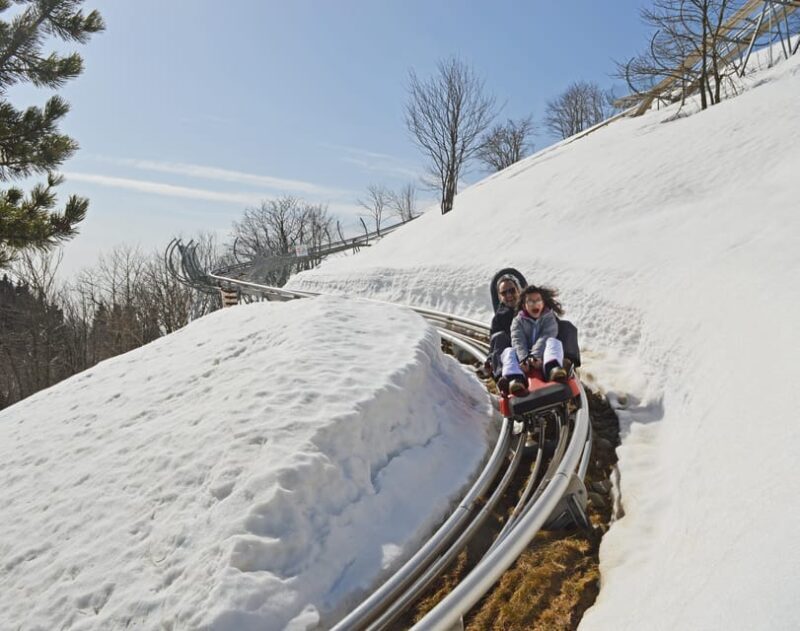 Stresa: Alpyland Alpine Coaster Ride on Mount Mottarone - Key Points