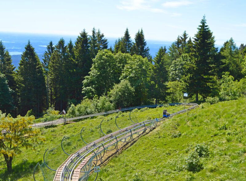 Stresa: Alpyland Alpine Coaster Ride on Mount Mottarone - FAQ
