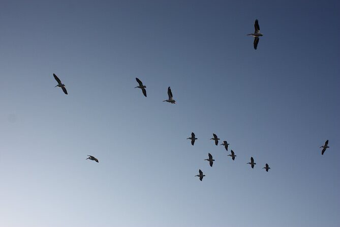 Stroll in the famous floating gardens of ancient Mexico - A Detailed Look at the Experience