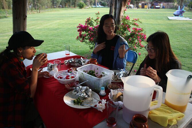 Stroll in the famous floating gardens of ancient Mexico - Frequently Asked Questions