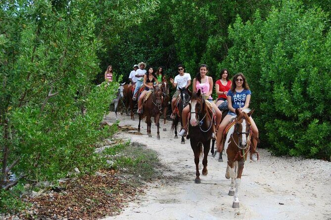 STROLL the Jungle Trails on a HORSE. Includes Transportation and Equipment. - Key Points