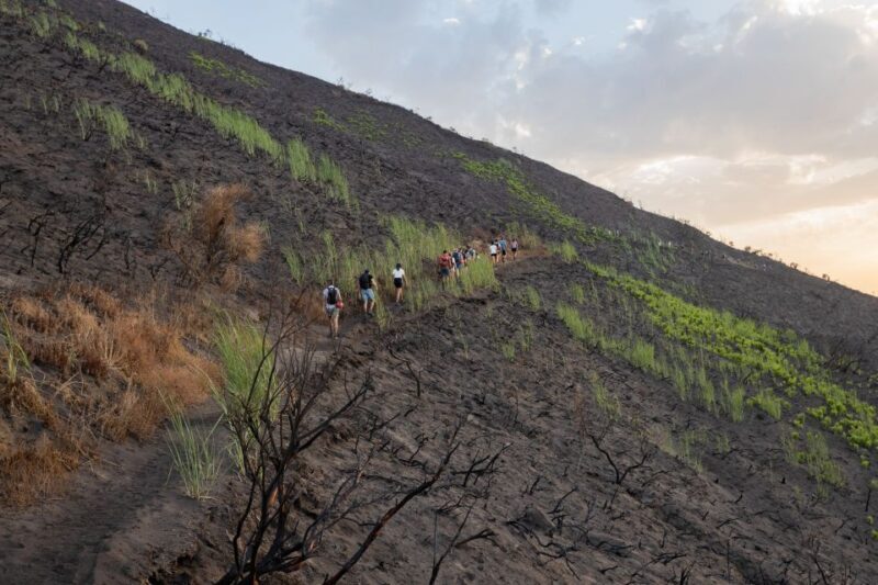 Stromboli: Sunset Trekking at Sciara del Fuoco - Who Should Do This Tour?