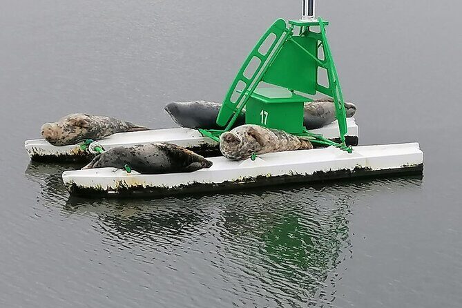 Stunning 90-Minute Firth of Forth Sightseeing Cruise Adventure - Key Points