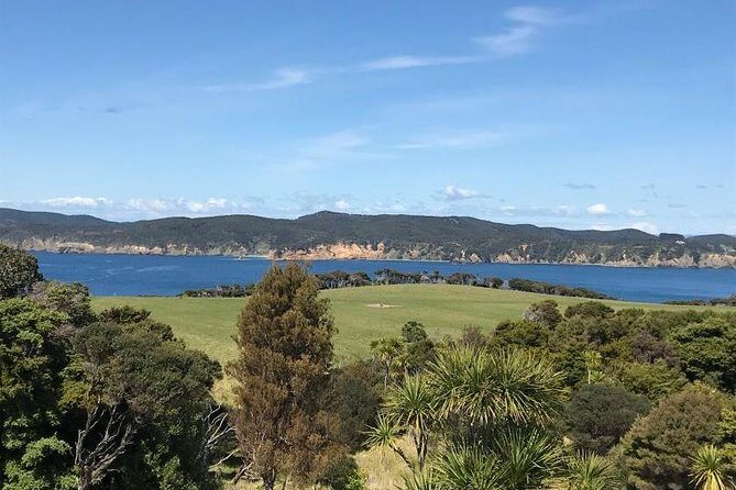 Stunning Auckland East Coast Walk & Wine Private Tour - FAQ