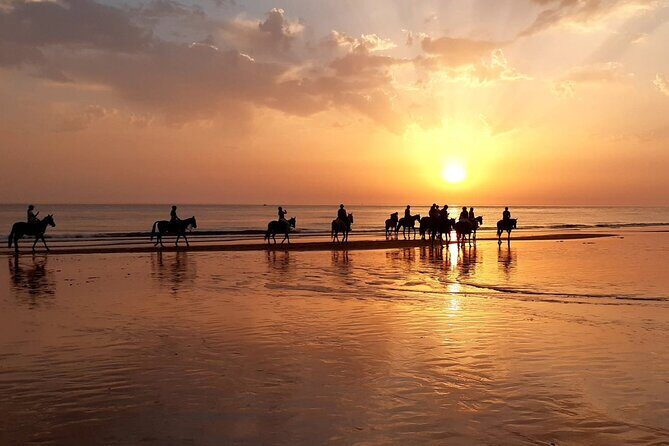 Stunning Sundown Beach Ride on horseback! MINIMUM 2 PARTICIPANTS - Key Points