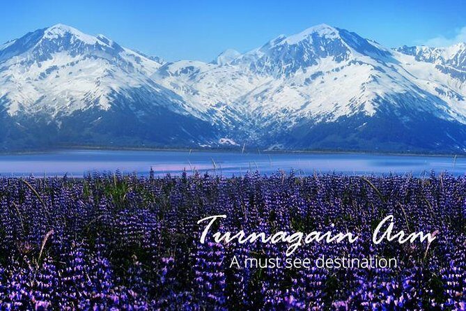 Stunning Turnagain Arm Tour: "A Must See Destination" - Exploring the Itinerary in Detail