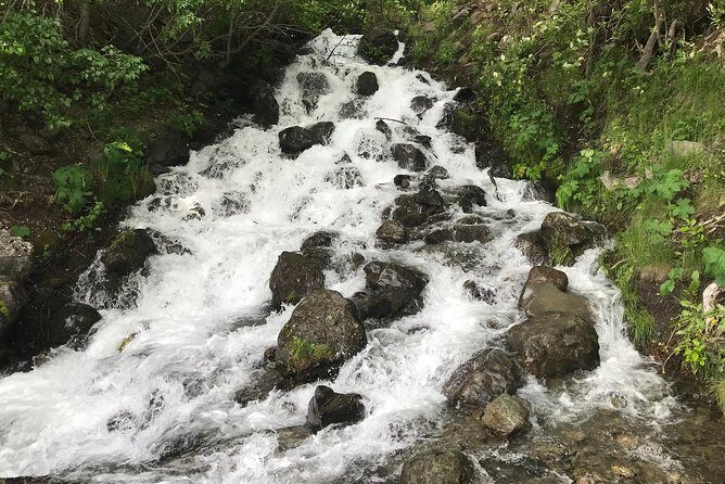 Stunning Turnagain Arm Tour: "A Must See Destination" - FAQ