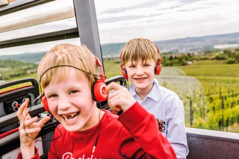 Stuttgart 24-Hour Hop-On Hop-Off Sightseeing Bus Tour - Who Should Consider This Tour?