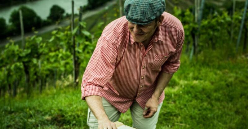 Stuttgart: Guided Vineyards Tour - The Sum Up