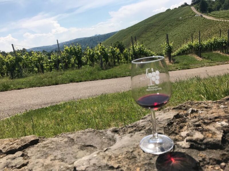 Stuttgart: Guided Wine Walk & Wine Tasting - Why This Tour Is Worth Considering