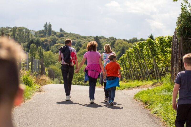 Stuttgart Nature Experience Day - Exploring Stuttgart’s Natural Side: A Complete Overview