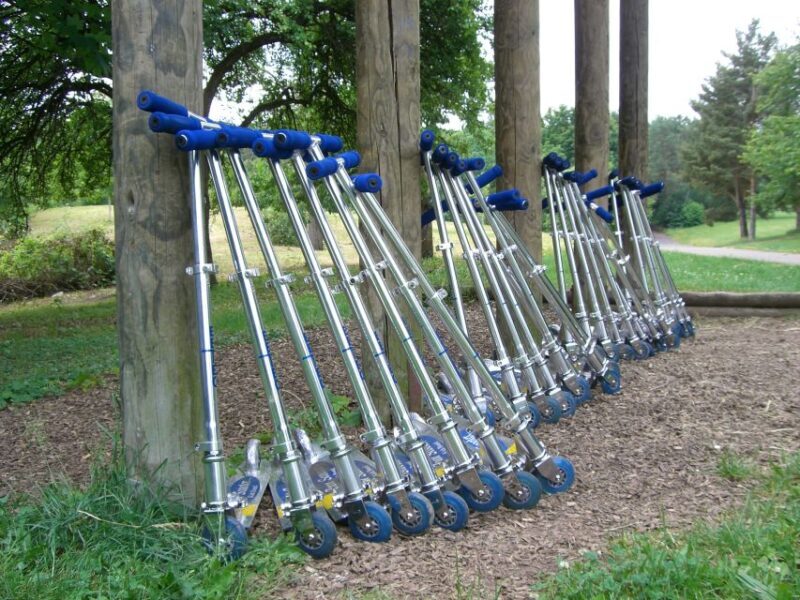 Stuttgart Nature Experience Day - Considerations and Possible Drawbacks