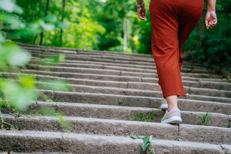 Stuttgart: Stäffele Guided Walking Tour - The Sum Up: Who Will Love the Stäffele Tour?