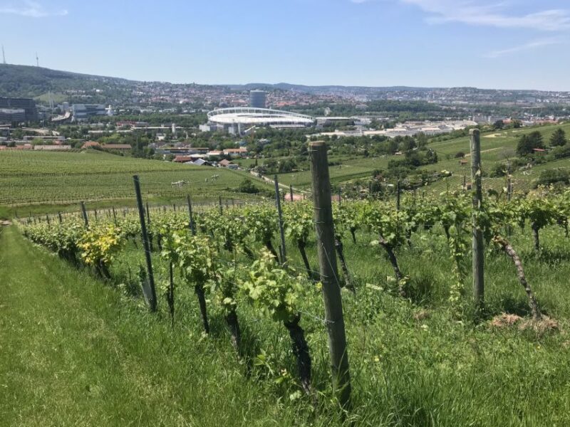 Stuttgart: Wine Tour with wines of the best winemakers - What Makes This Tour Special?