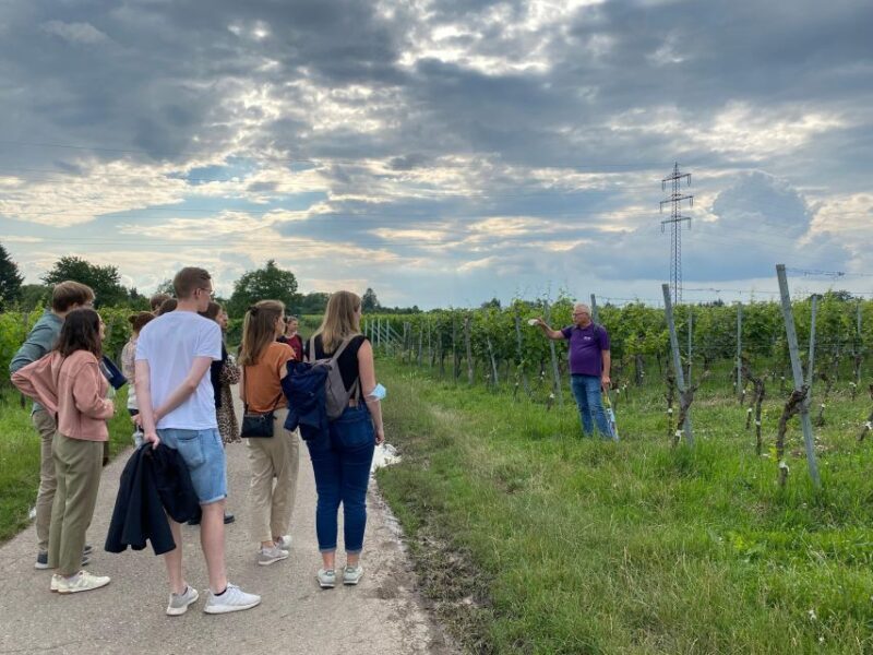 Stuttgart: Wine Tour with wines of the best winemakers - What We Loved About This Tour
