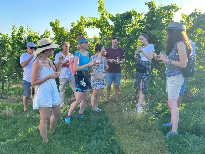 Stuttgart: Wine Tour with wines of the best winemakers - Practical Details & Value