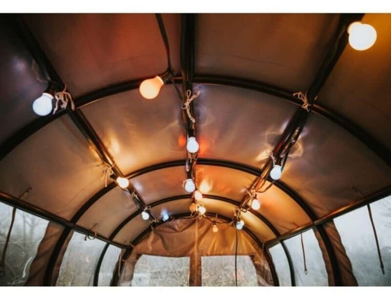 Stuttgart: Winter sleigh covered wagon tour - The Experience: What to Expect