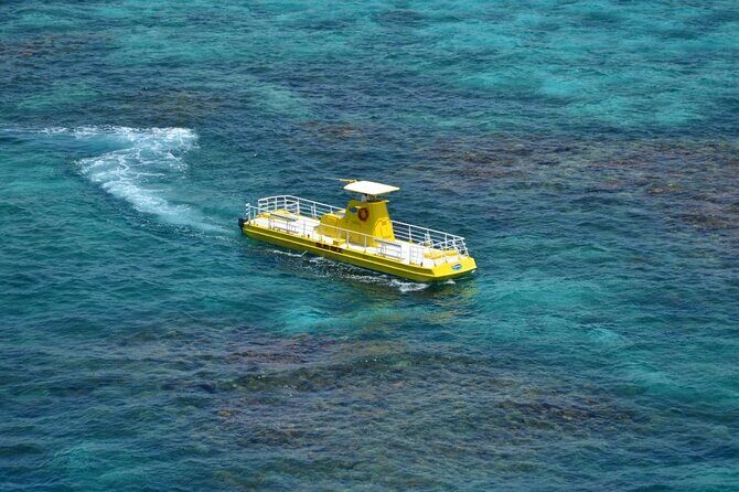 Subsea Subsee - Who Would Love This Tour?