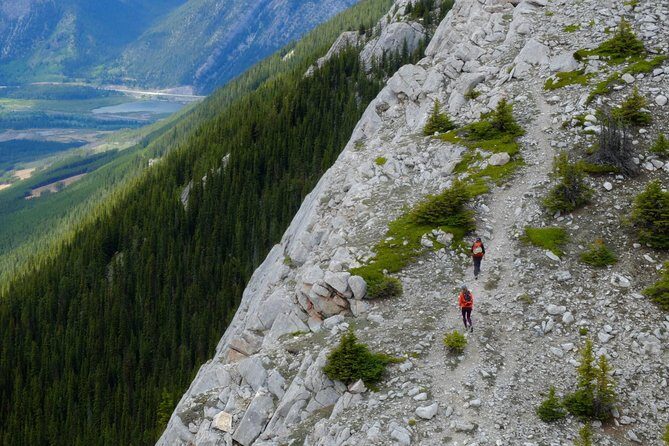 Sulphur Mountain Highline Trek in Banff - Authentic Feedback from Participants