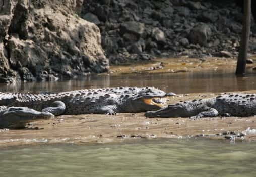 Sumidero Canyon & Chiapa de Corzo from San Cristobal - Final Thoughts