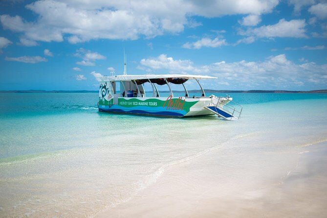 SUMMER K'gari (Fraser Island) Boom-net & Sightseeing Cruise - The Sum Up