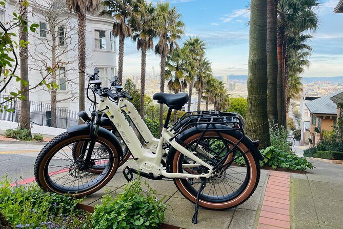 Summer of Love San Francisco Guided eBike Tour Golden Gate Park - Final Thoughts