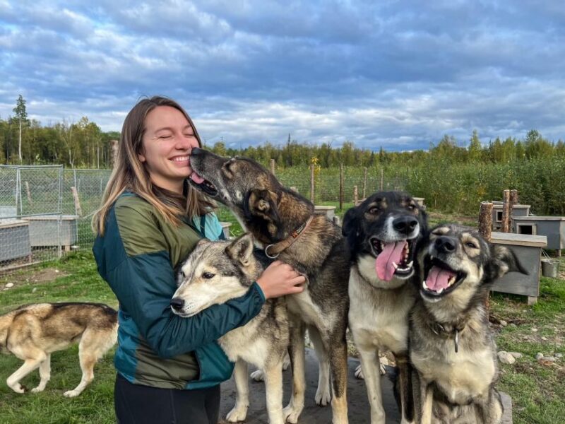 Summer Sled Dog Kennel Tour - Final Thoughts