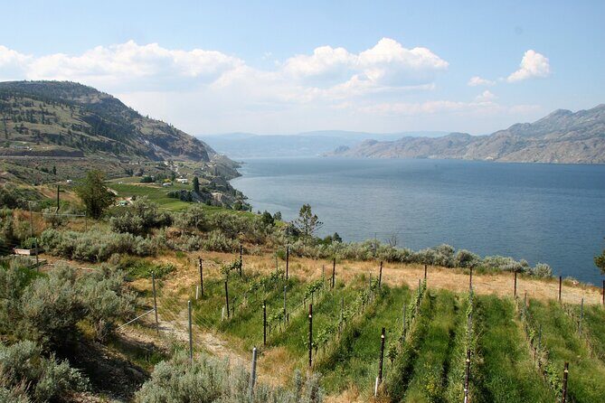 Summerland Private Wine Tour - Full Day - Experience the Itinerary: What Youll Visit and Why