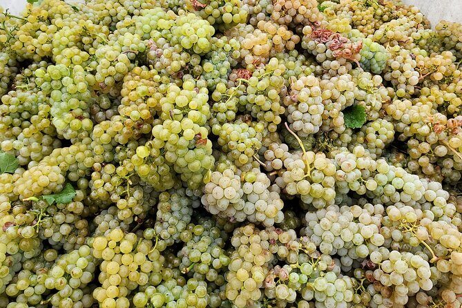 Summerland Private Wine Tour - Full Day - Is It Worth the Price?