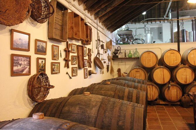 Sun and Wine Route - Small group, wine tasting and tapas included - What to Expect on the Sun and Wine Route