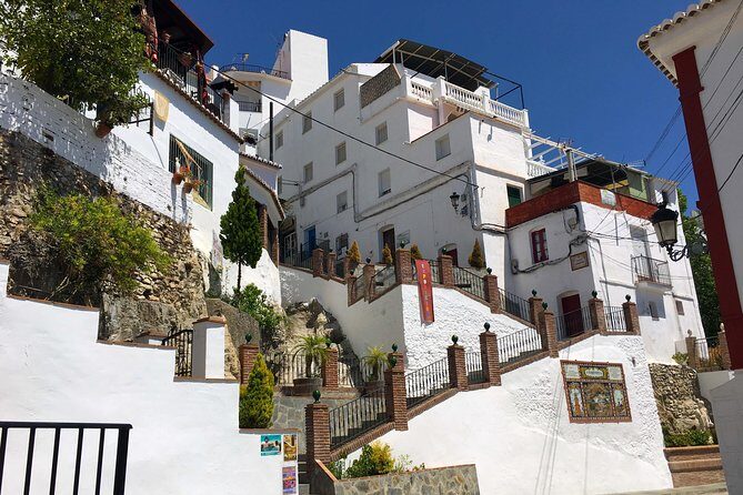 Sun and Wine Route - Small group, wine tasting and tapas included - Who Is This Tour For?