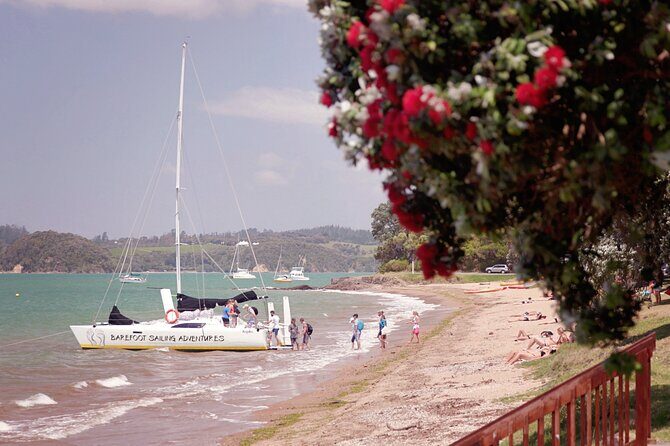 Sundowner Evening Cruise - 2 hour evening sailing cruise with swim stop - The Experience: What to Expect on the Sundowner Evening Cruise