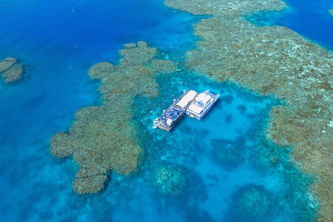 Sunlover Reef Cruises Cairns Great Barrier Reef Experience - The Itinerary: What You Can Expect